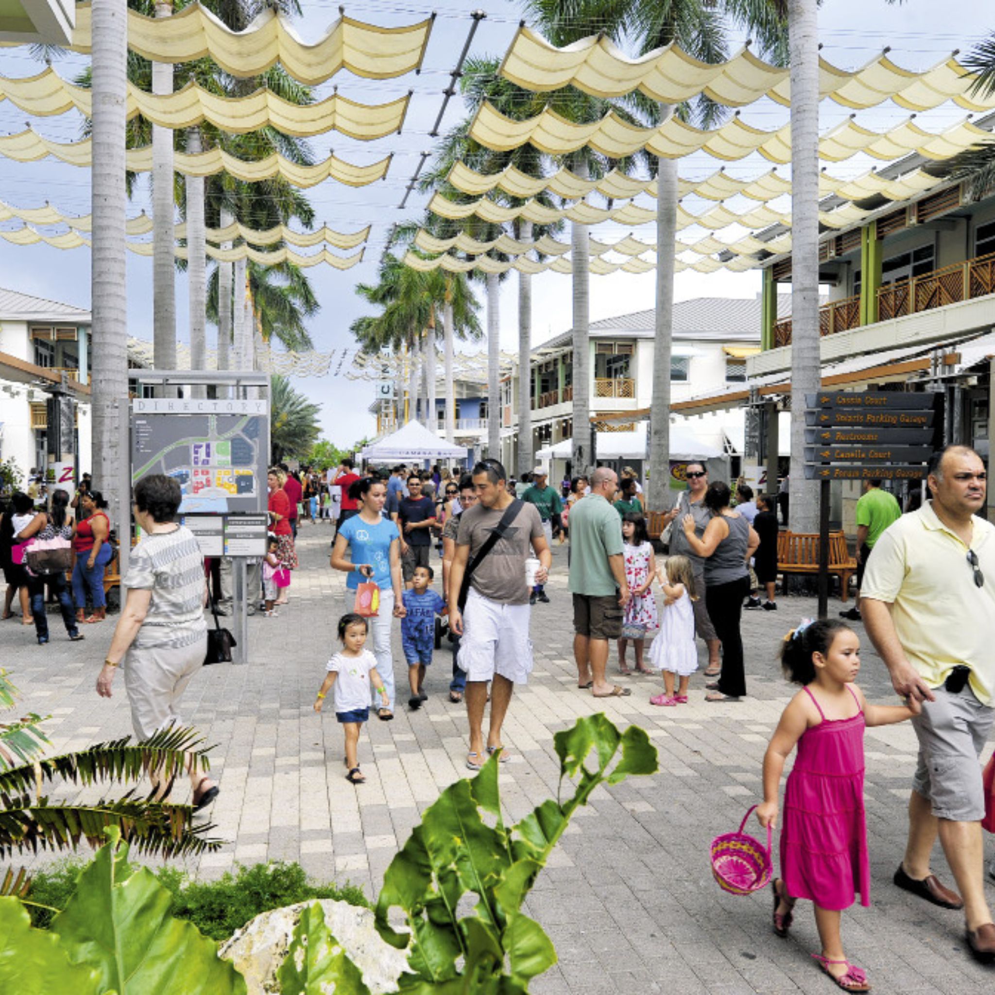 10 Fascinating Facts about the Cayman Islands